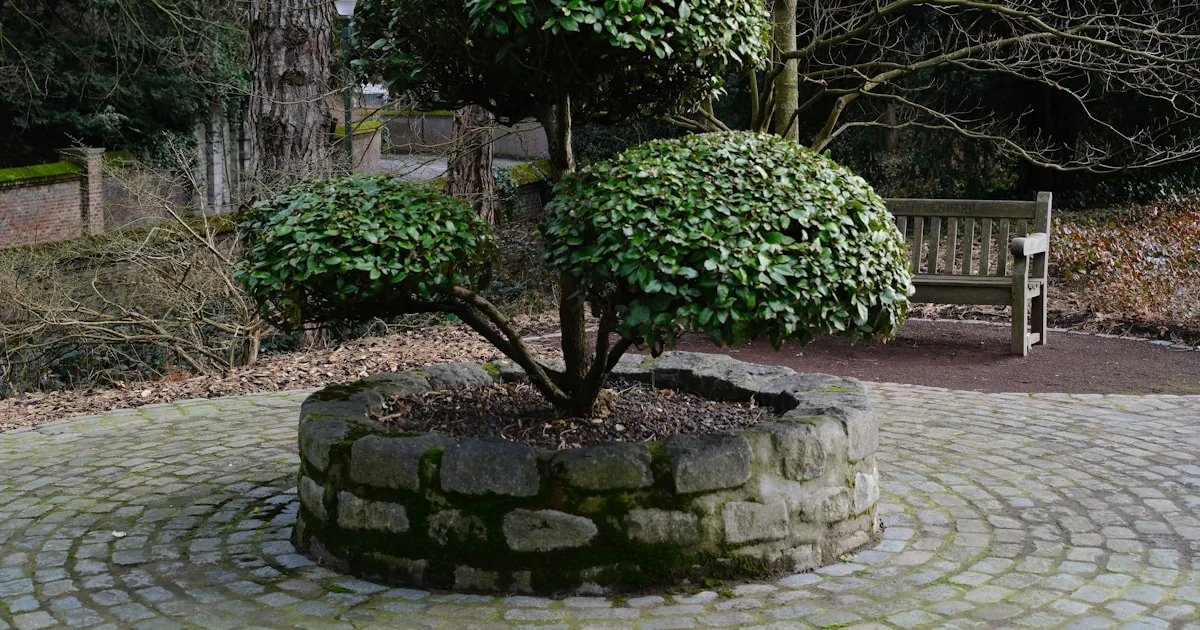 🌱 Spring Bonsai Care: The Ultimate 90-Day Survival Guide (2026 ...